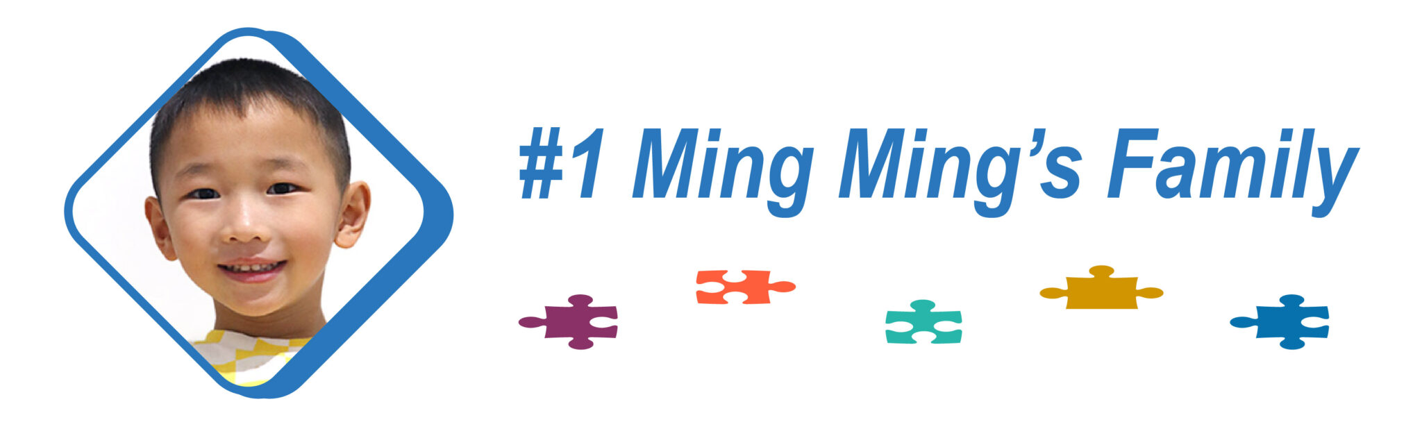 APM Educational Project 2024 - Autism Partnership