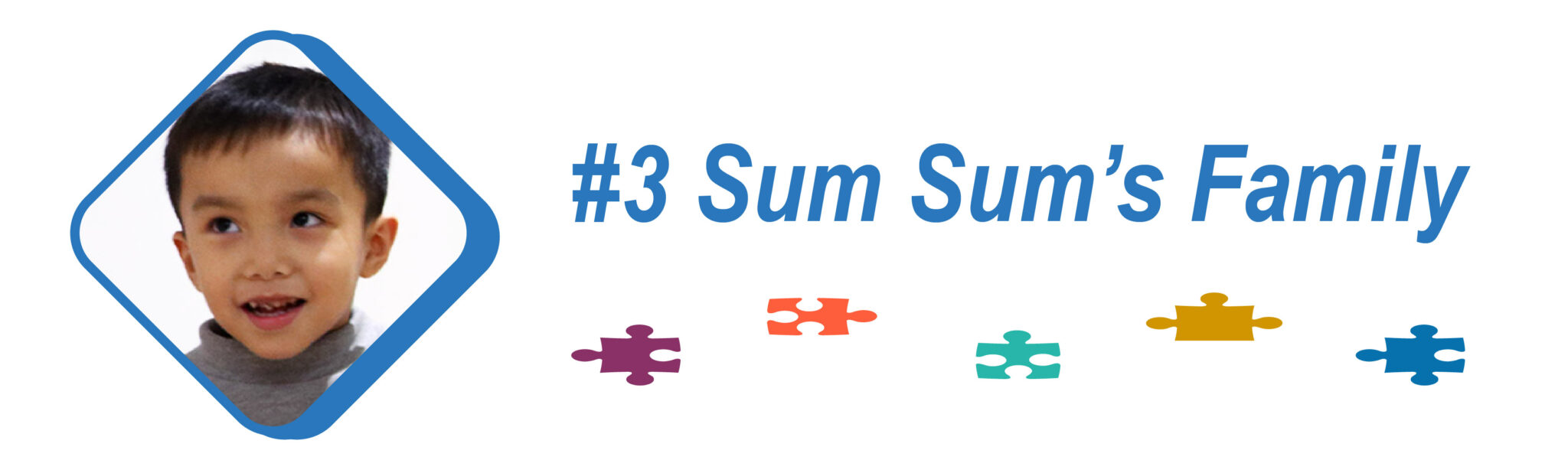 APM Educational Project 2024 - Autism Partnership